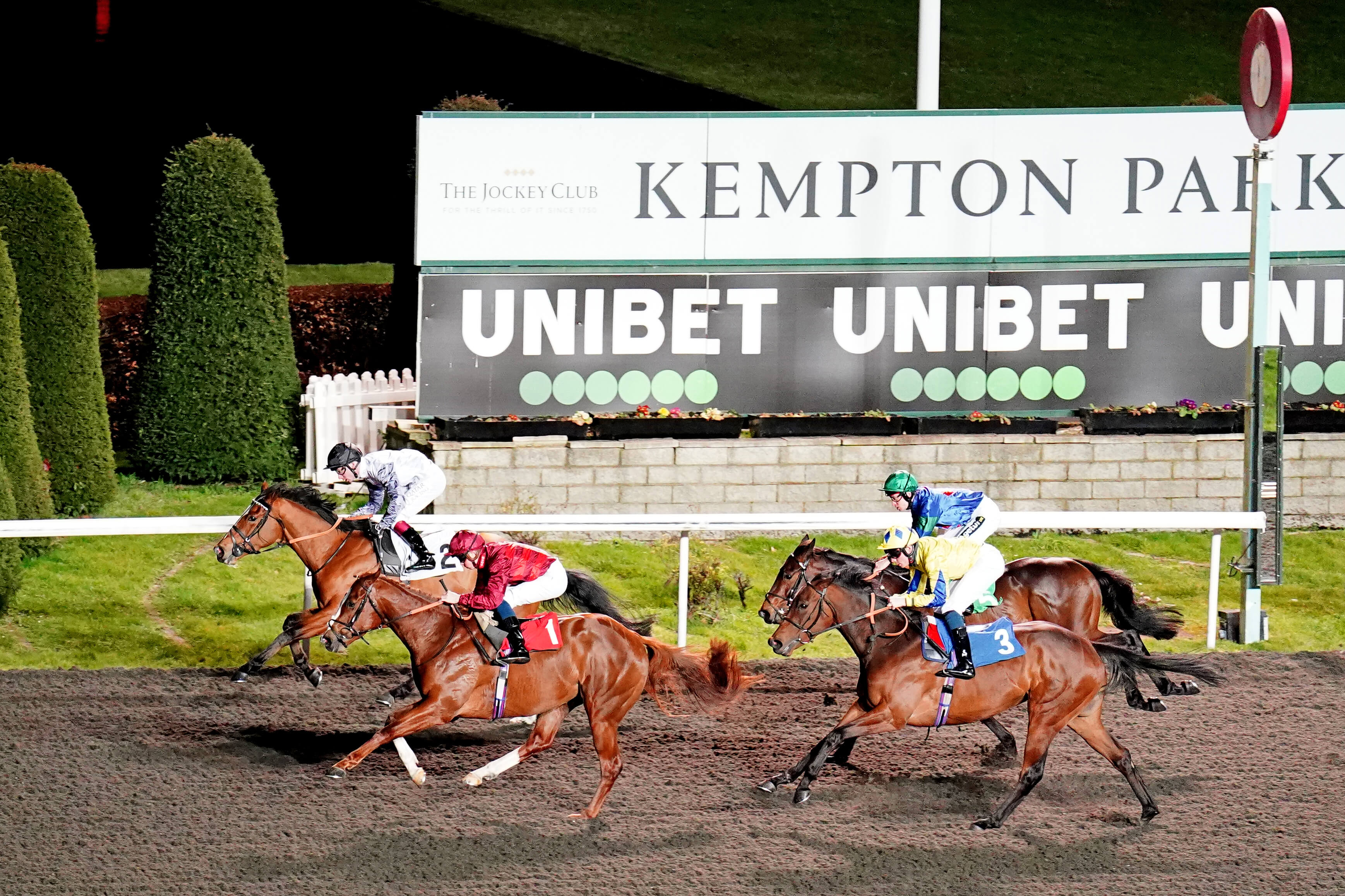 Kindred Confirms Permanent CEO, Revenue Growth In 2023 Report